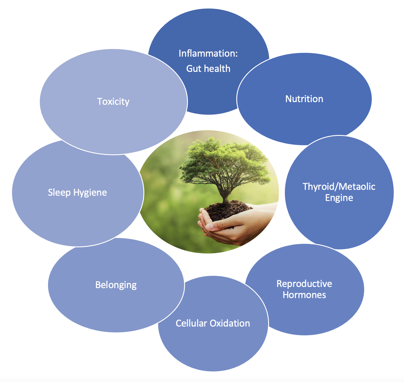 Internal Health Offerings: Functional Medicine - GlowOn